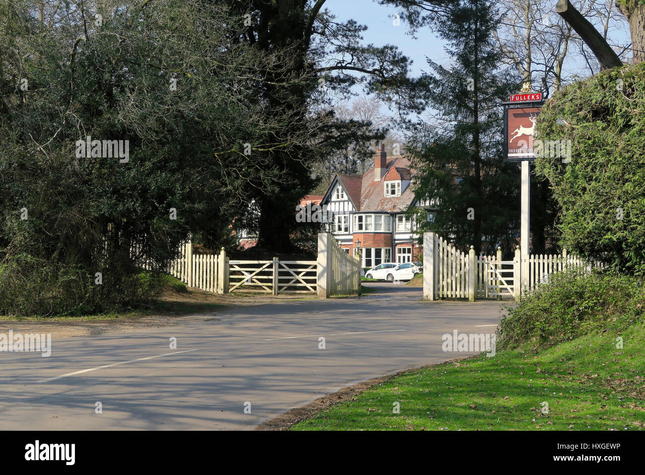 Burley new forest hi-res stock photography and images - Alamy
