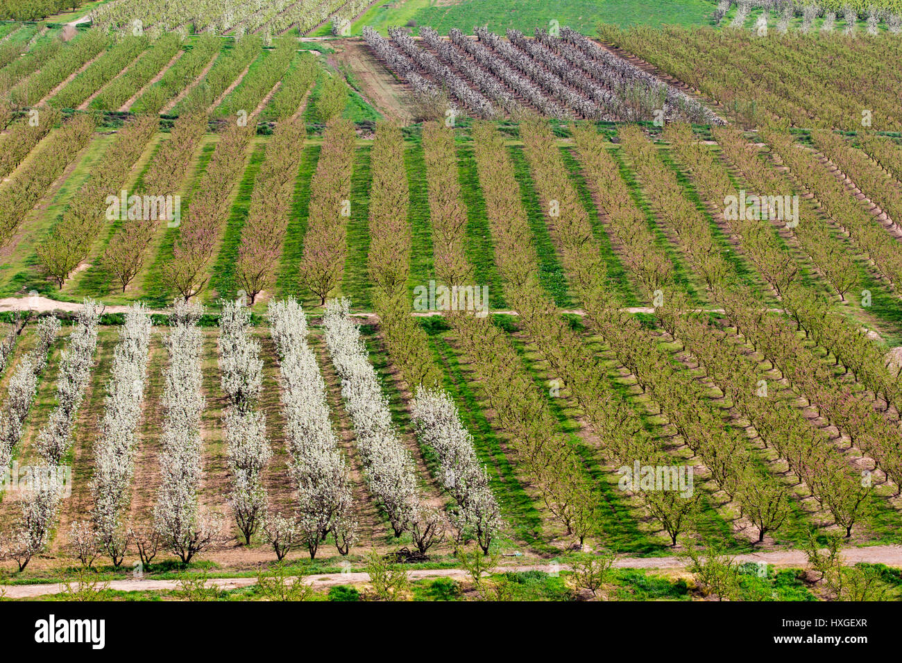 Colorful trees aerial hi-res stock photography and images - Alamy