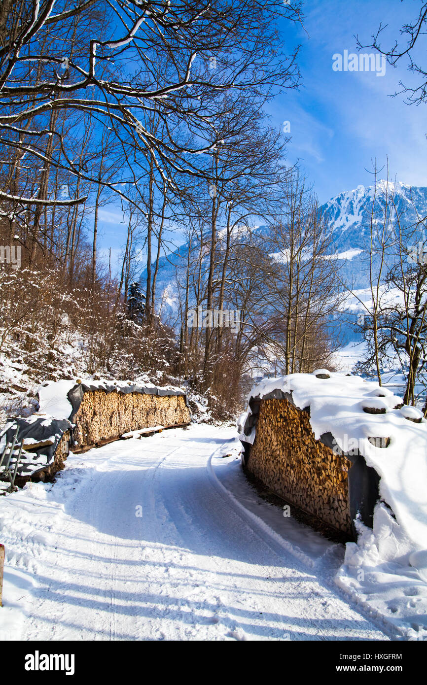 Firewood stacked in winter. Wood pile with snow stacked for firewood ...