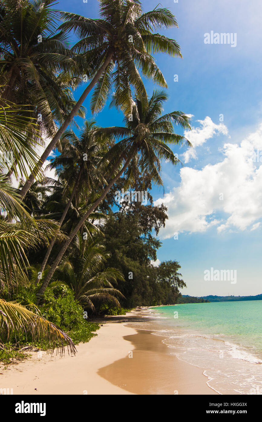 tropical beach. Beach on Ko Kood Stock Photo - Alamy