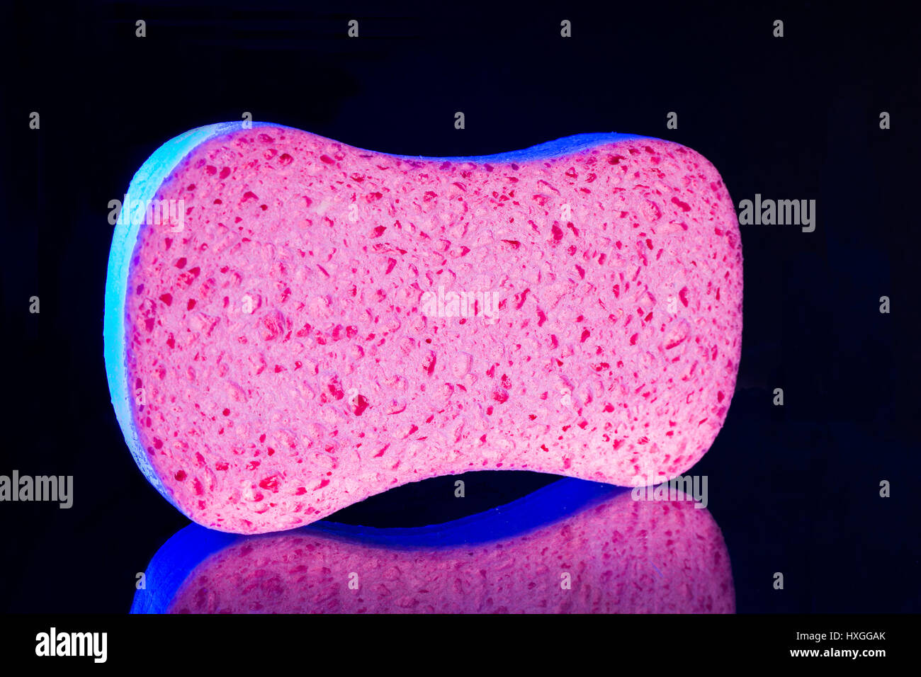 Reflected Pink Sponge Stock Photo - Alamy