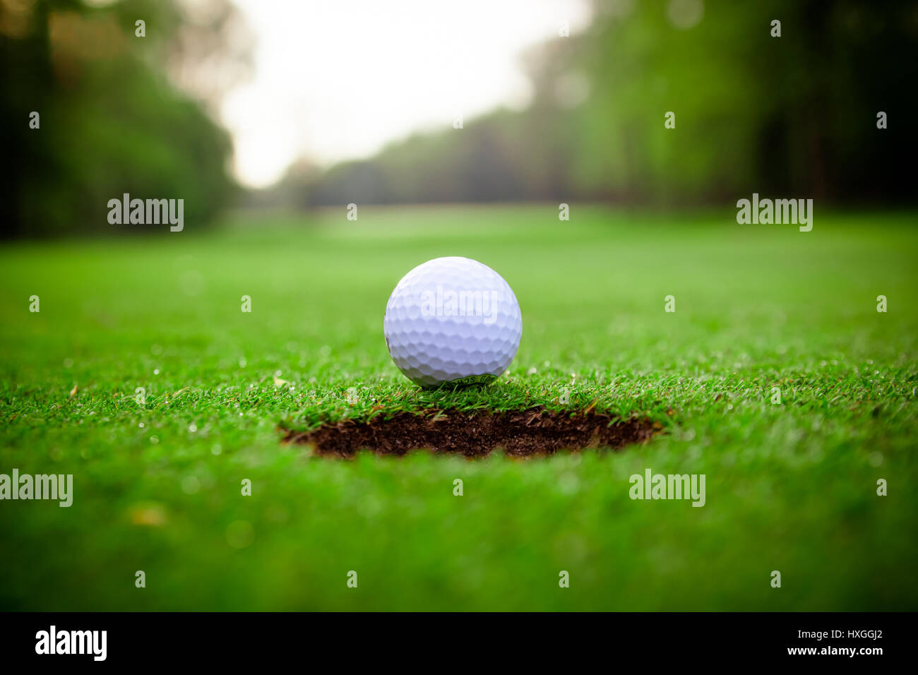 golf ball on lip of cup Stock Photo - Alamy