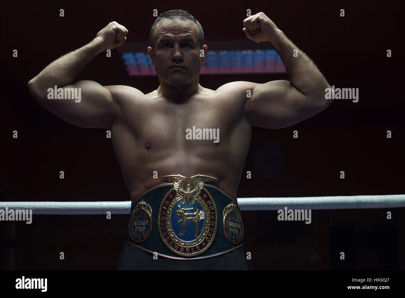 portrait of muscular professional kick boxer with his championship belt ...