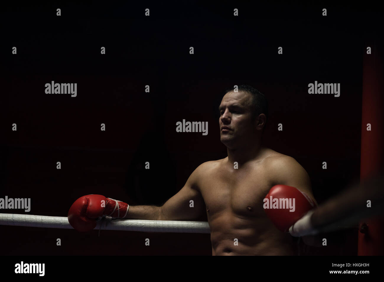 muscular professional kick boxer resting on the ropes in the corner of ...