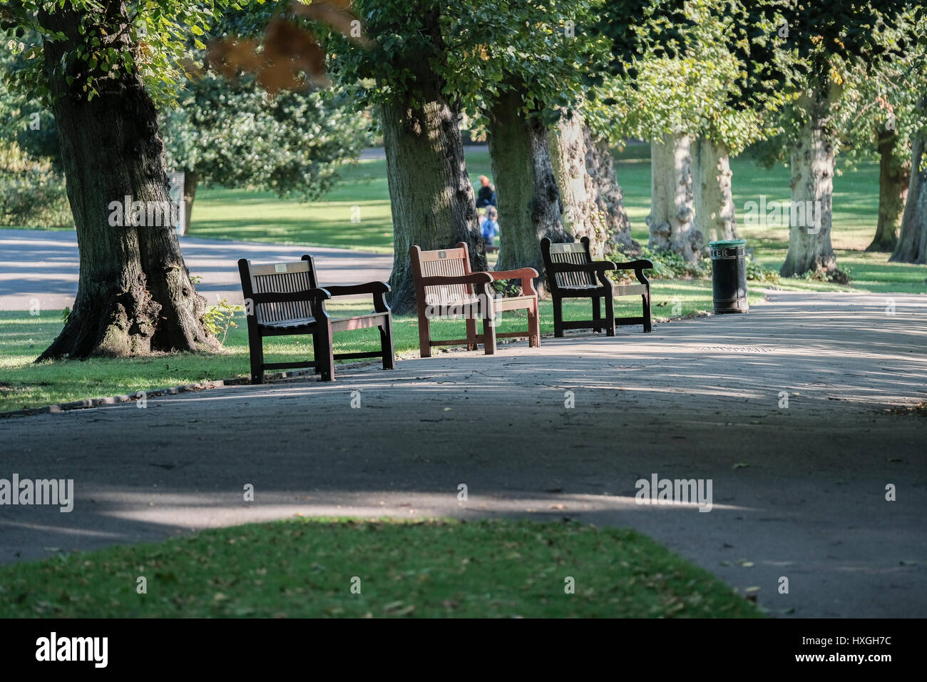 Path in park trees benches hi-res stock photography and images - Alamy