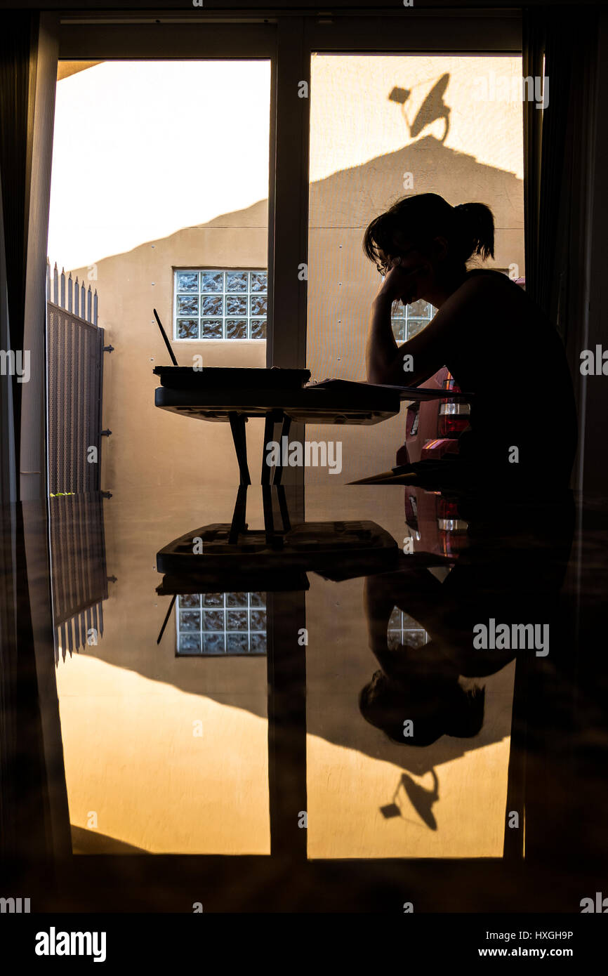Studying in the Afternoon Stock Photo - Alamy