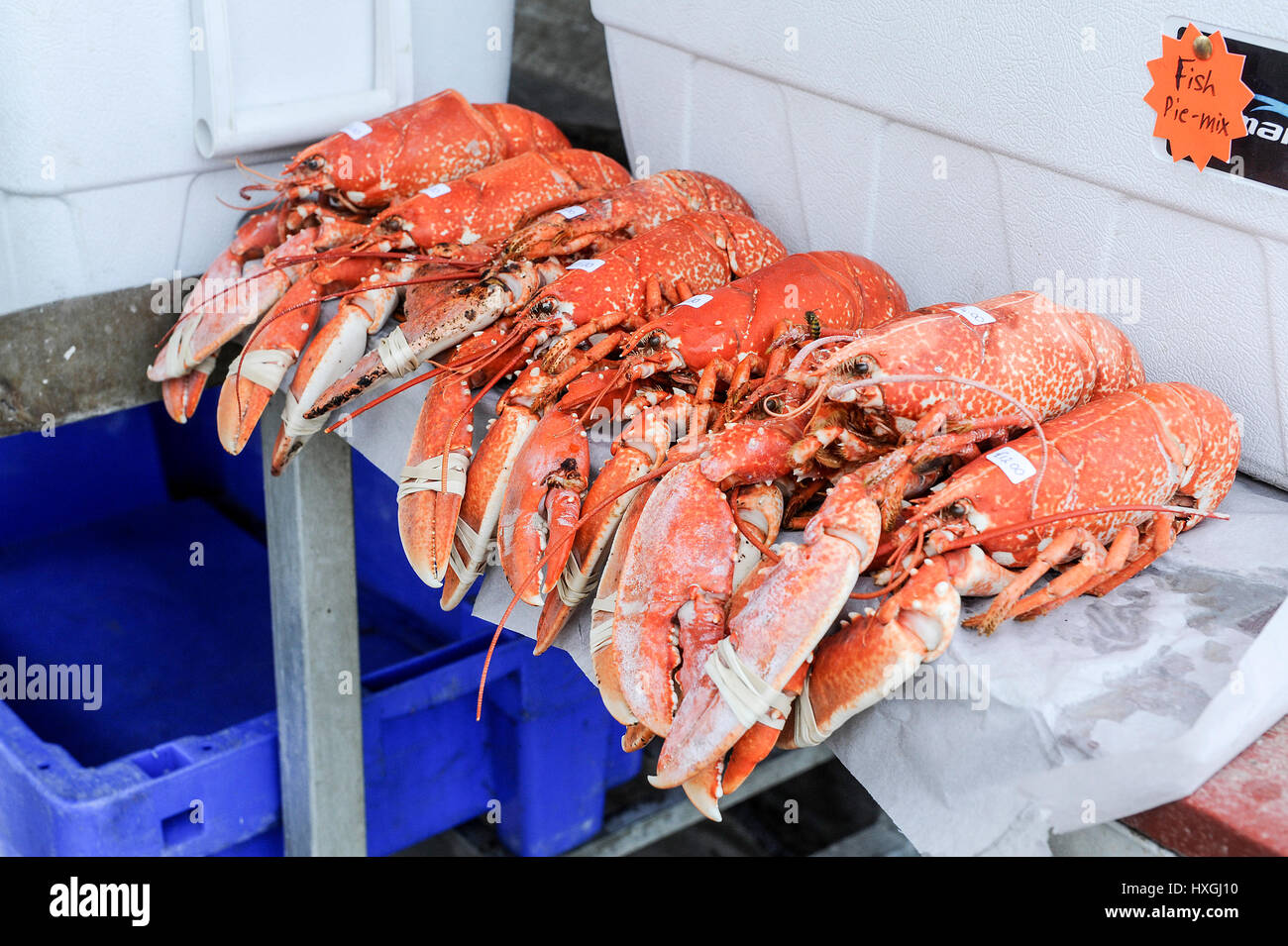 Seafood shop display of lobsters hi-res stock photography and images ...
