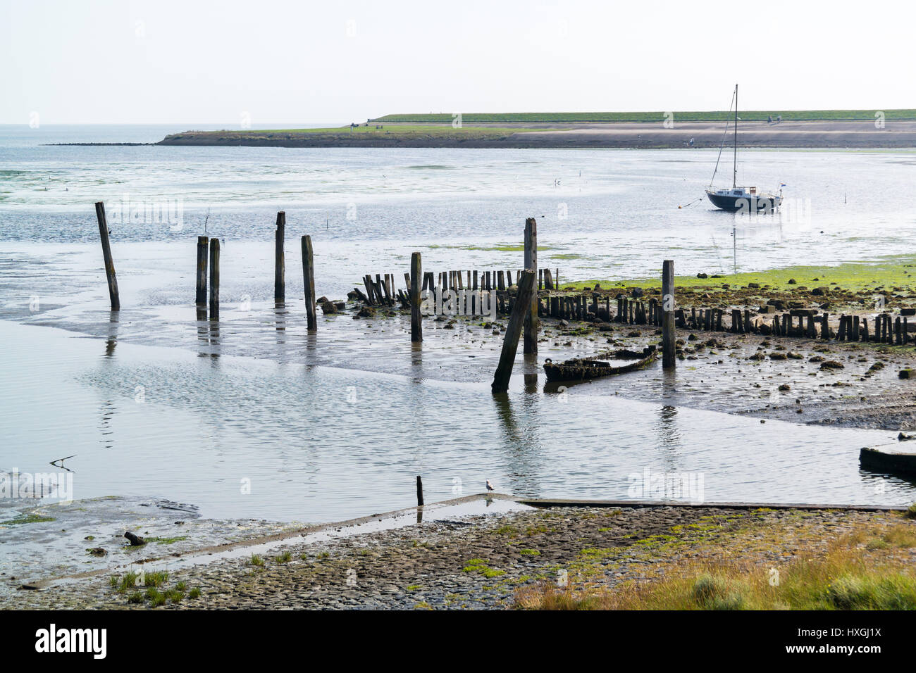 West frisian islands boat hi-res stock photography and images - Alamy
