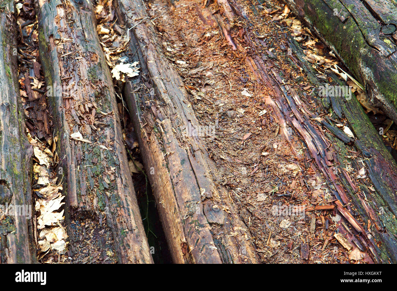 old rotten wooden bridge, decrepit old rotten boards Stock Photo - Alamy