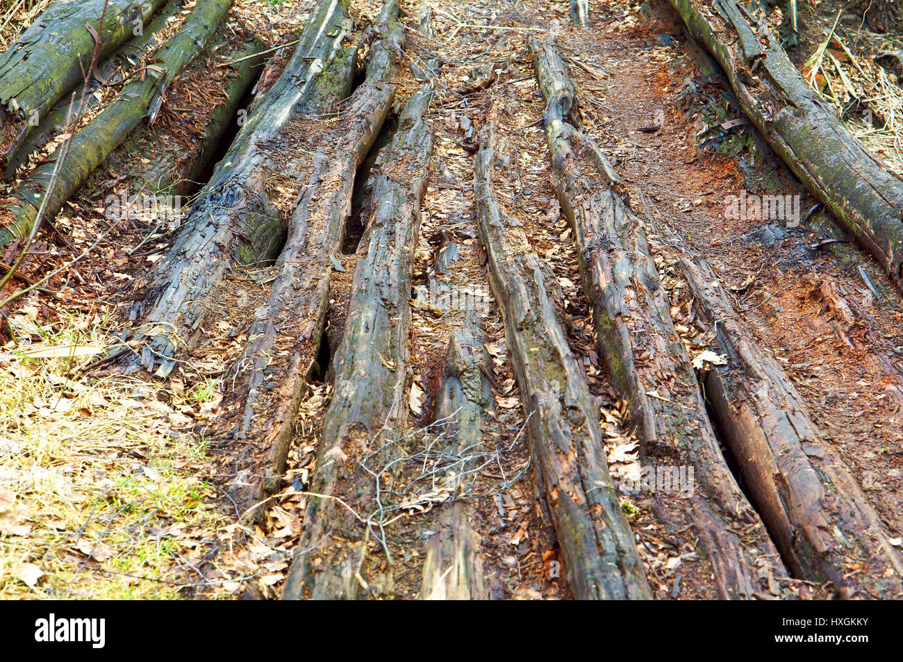 Old rotten wooden bridge decrepit hi-res stock photography and images ...