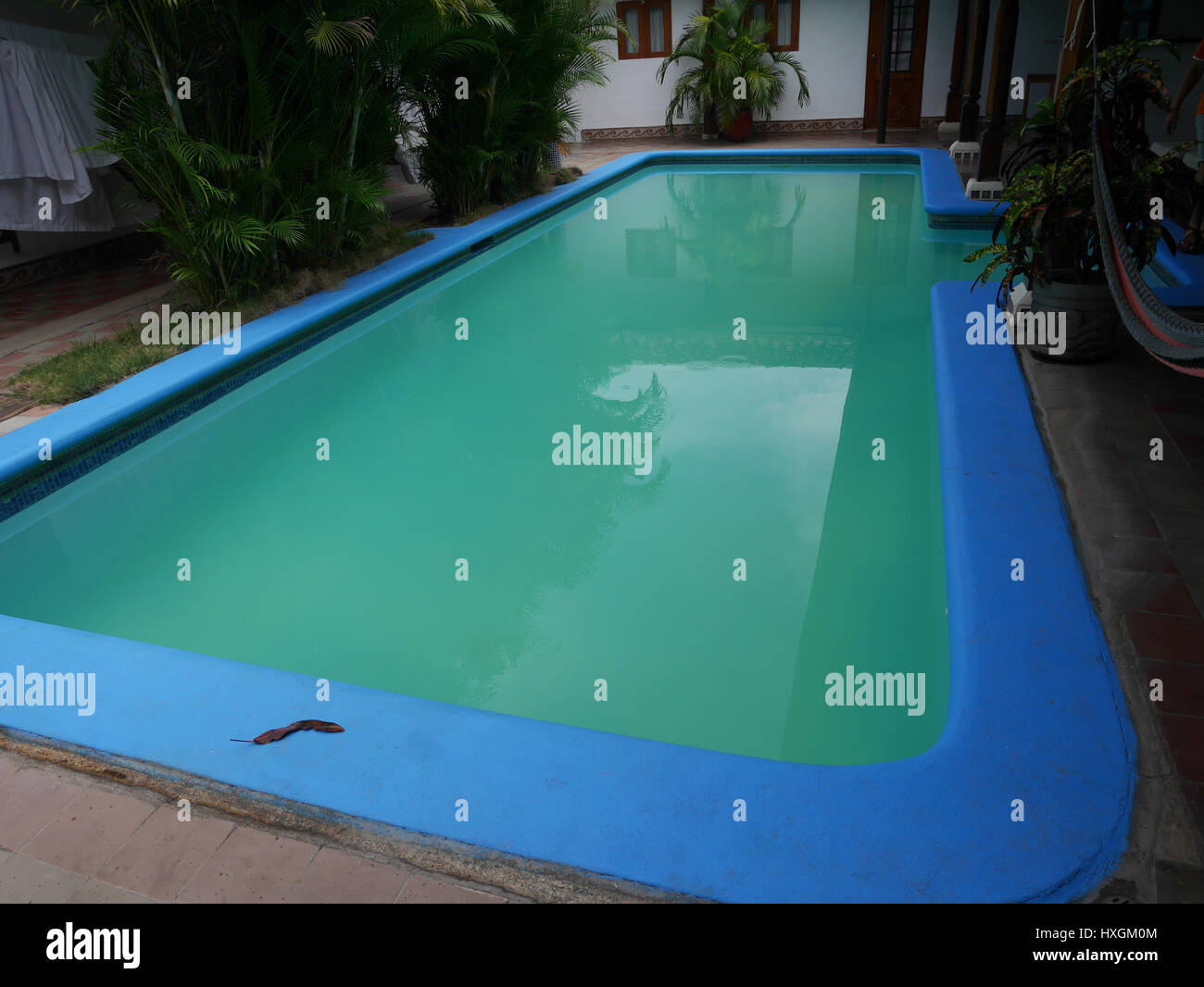 Blue water in swiming pool of a hotel Stock Photo - Alamy