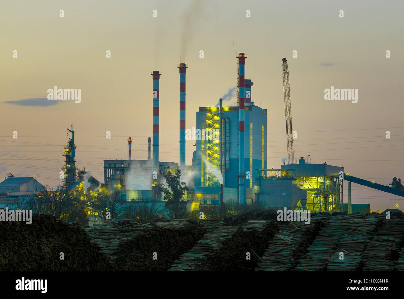 Cellulose production hi-res stock photography and images - Alamy
