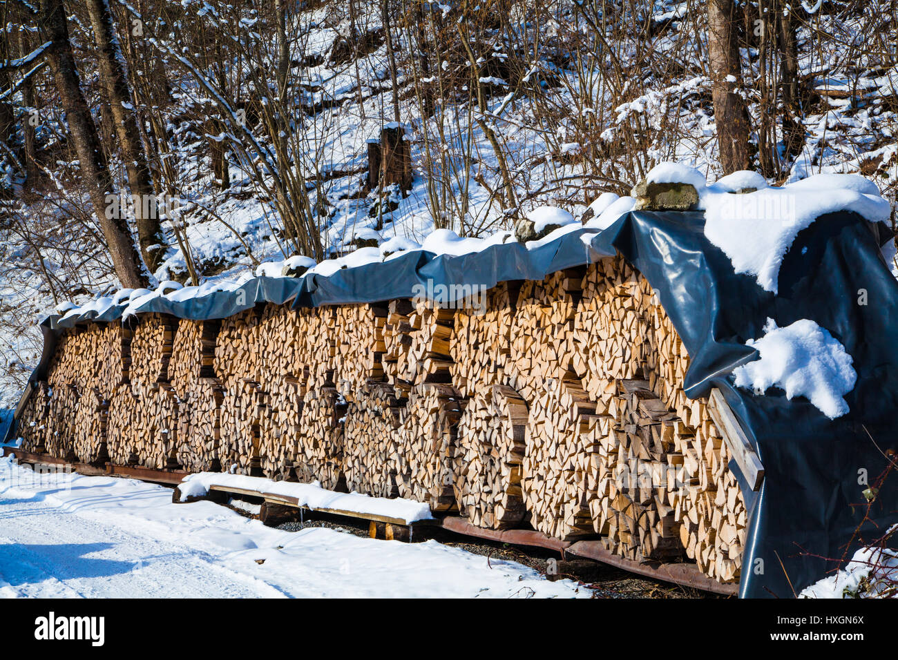 Firewood stacked in winter. Wood pile with snow stacked for firewood ...