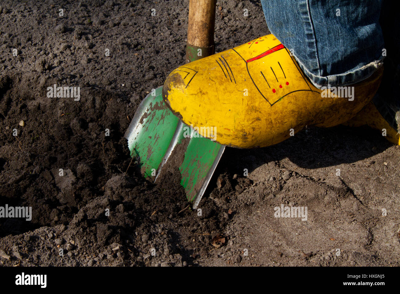Digging the soil with a green spade, wearing clogs Stock Photo - Alamy