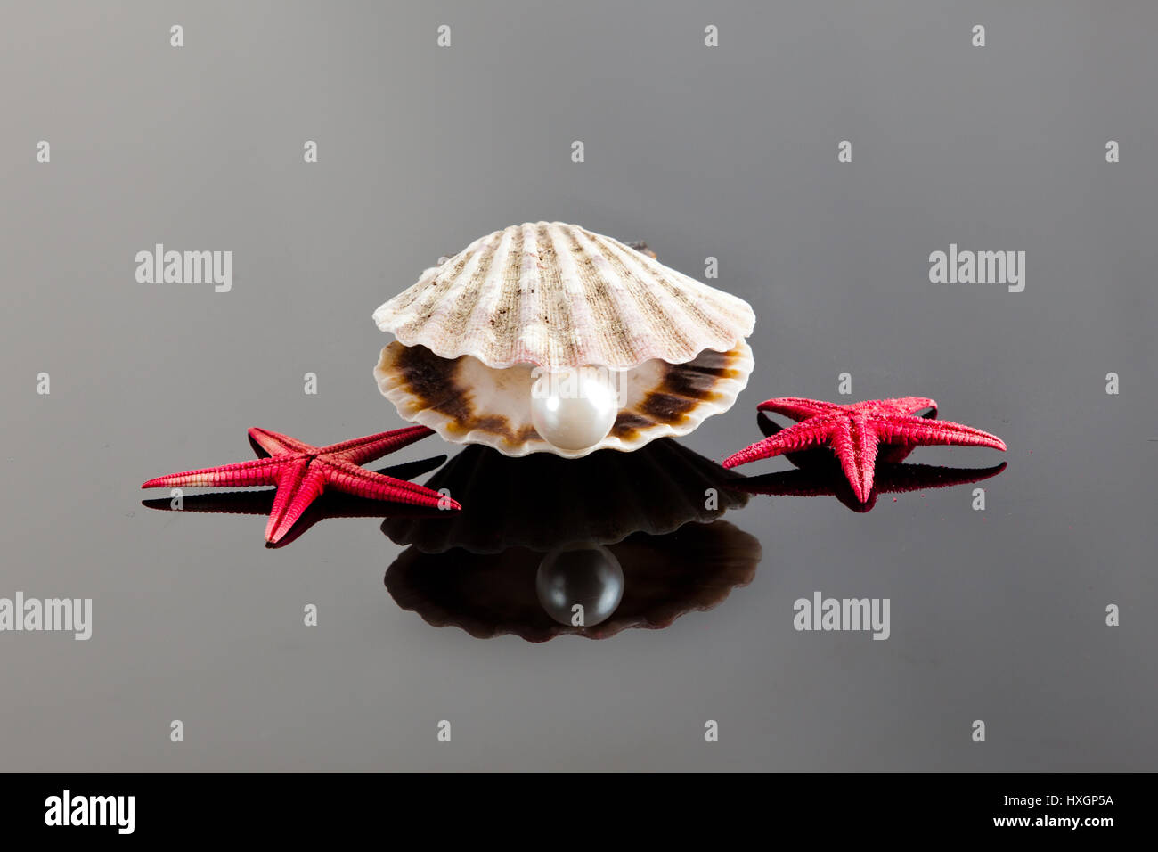The exotic sea shell . treasure from the sea Stock Photo - Alamy