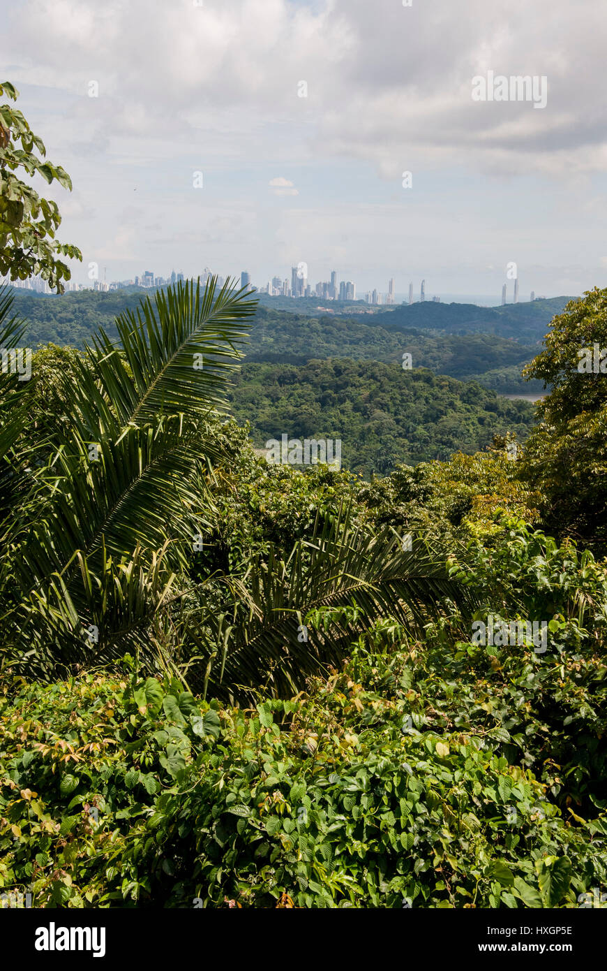 Panama City View from Ancon Hill Stock Photo - Alamy