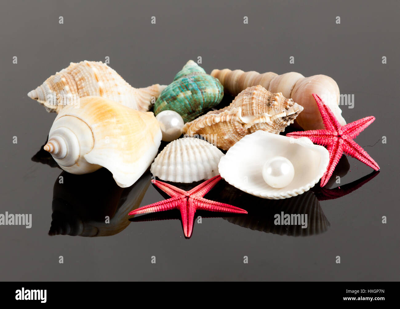 The exotic sea shell . treasure from the sea Stock Photo - Alamy