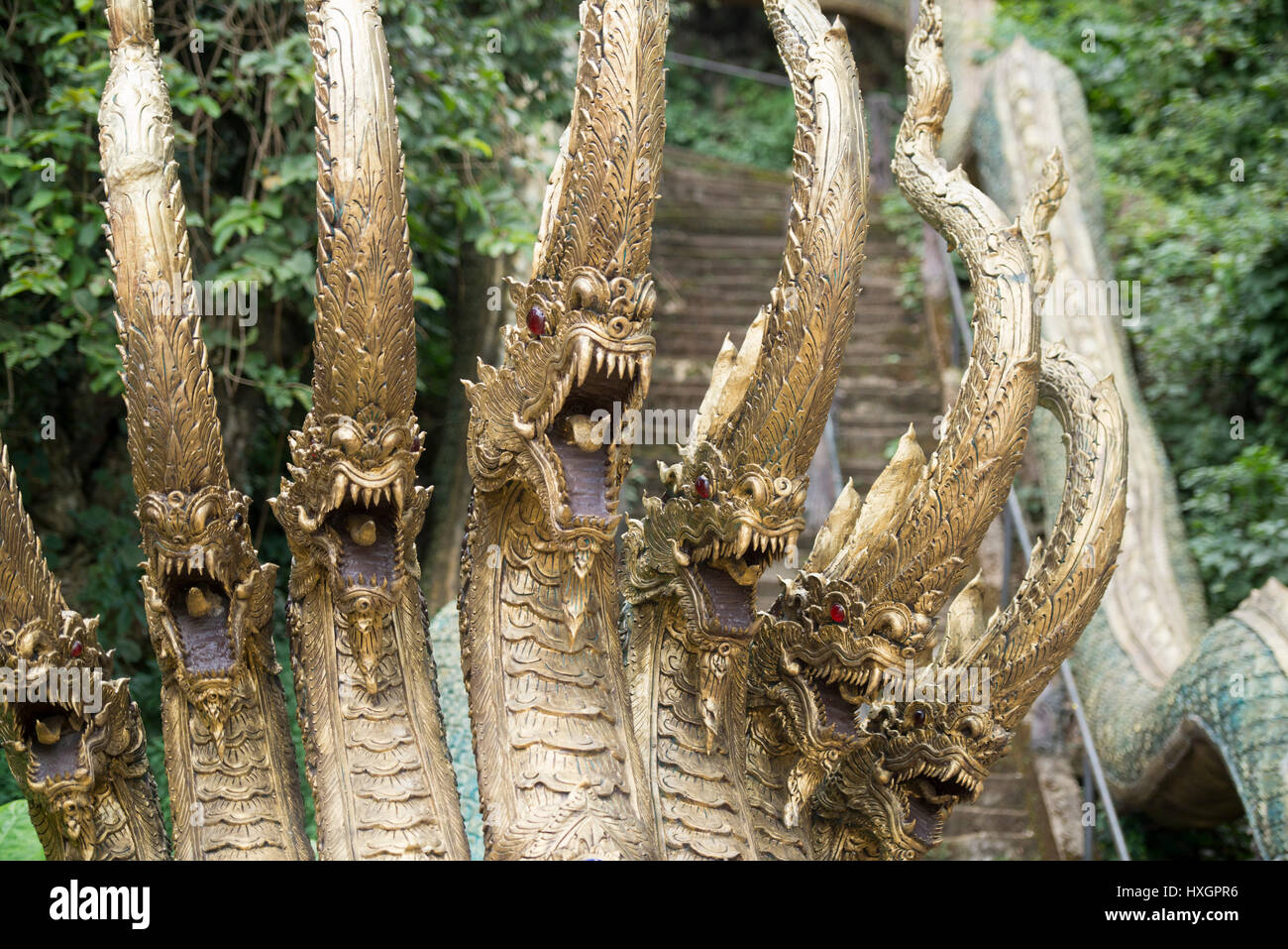 the wat tham pla or monkey cave temple near the town of Mae Sai in ...