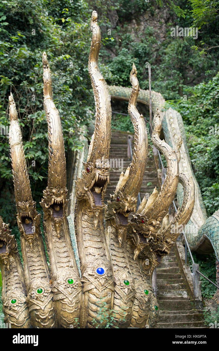 the wat tham pla or monkey cave temple near the town of Mae Sai in ...