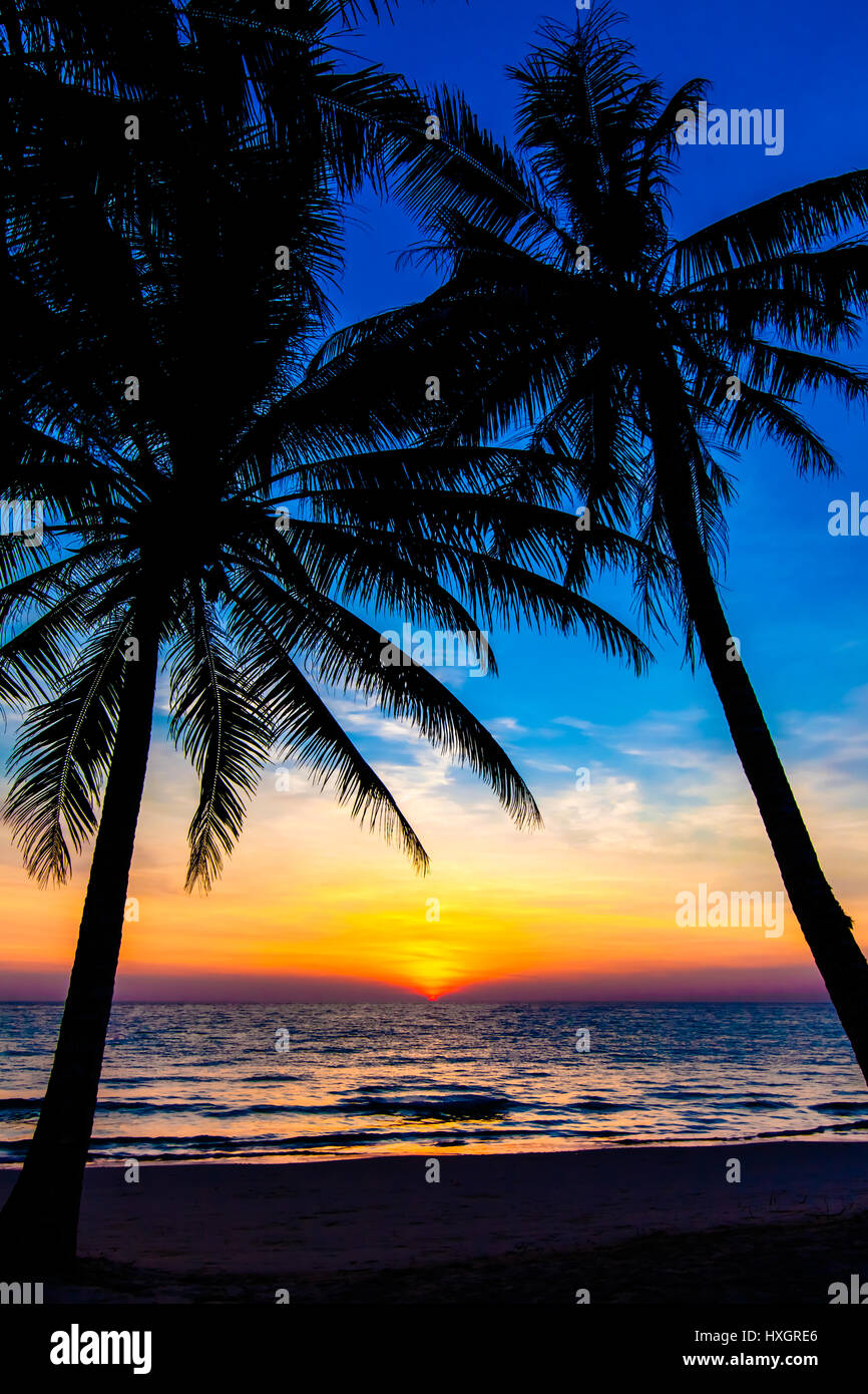 Beautiful tropical sunset with palm trees.Tropical beach. palms on the ...