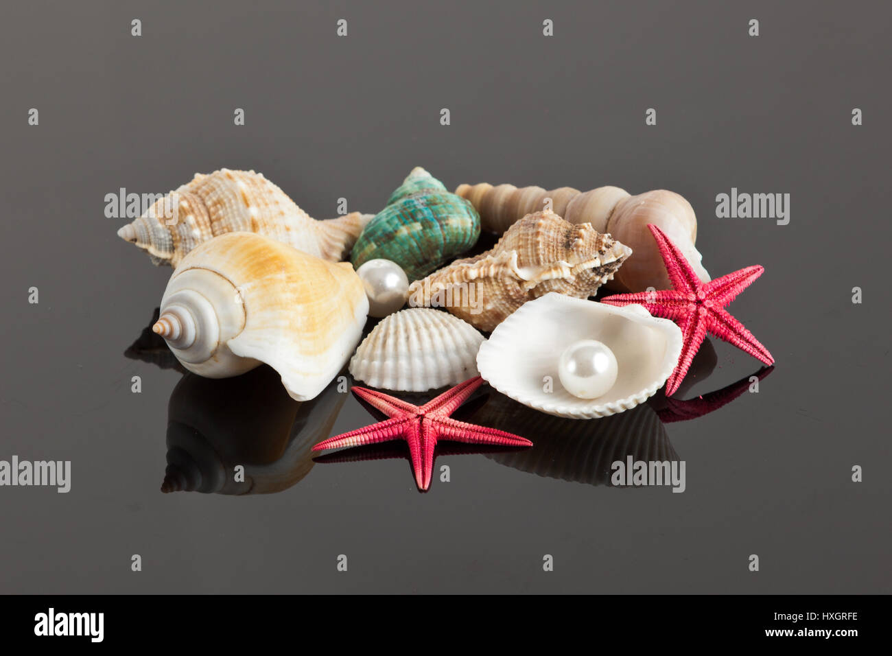 sea star and shells Stock Photo - Alamy
