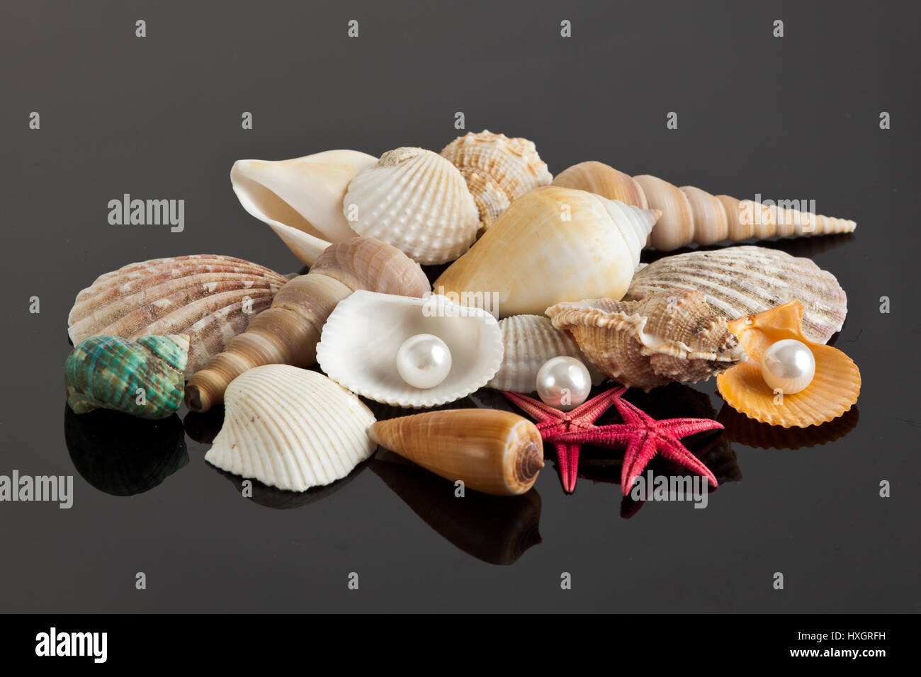sea star and shells Stock Photo - Alamy