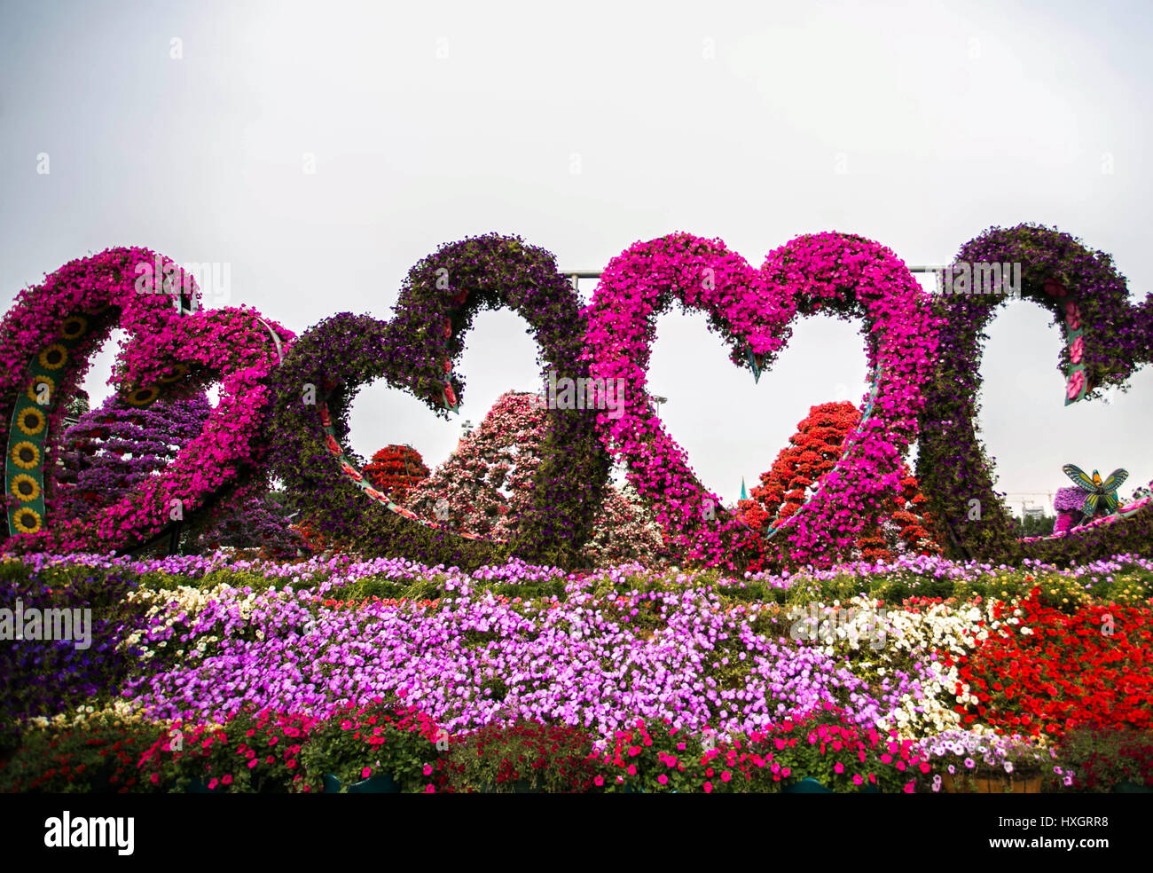 Flowers Miracle Garden in Dubai, United Arab Emirates Stock Photo - Alamy