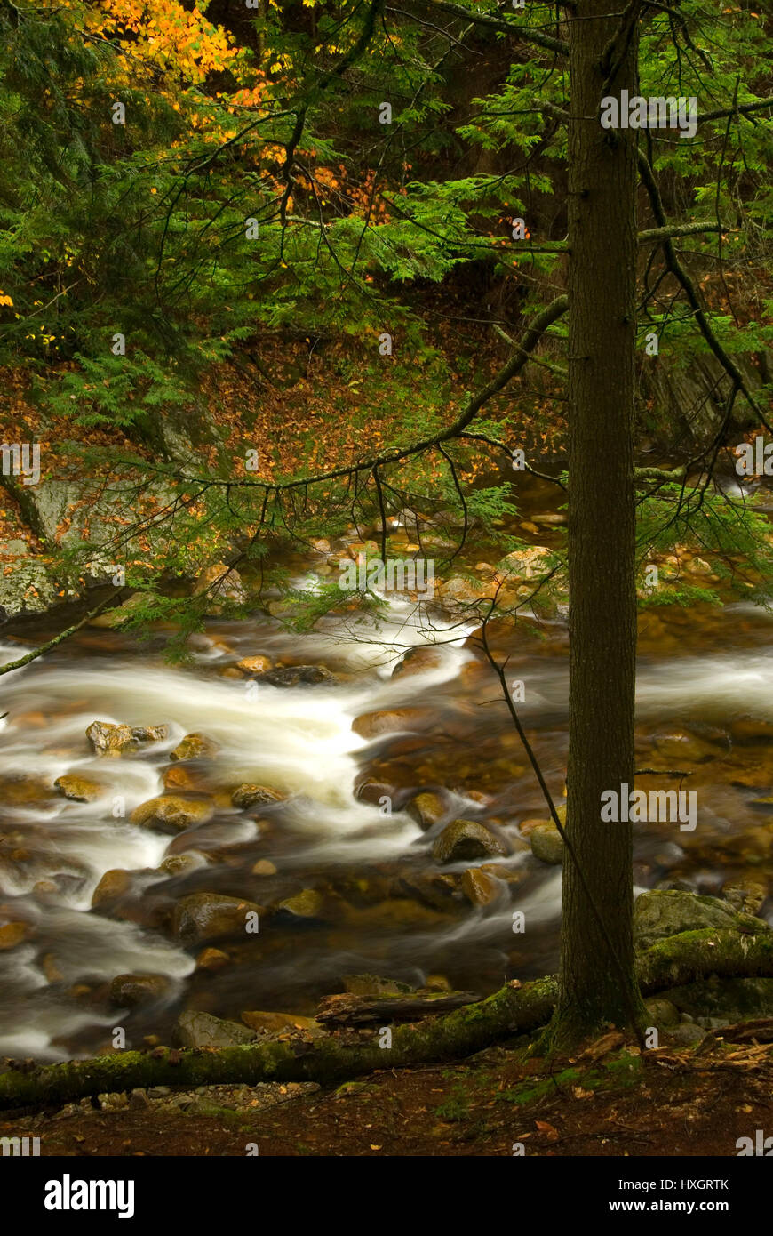 Middlebury river hi-res stock photography and images - Alamy