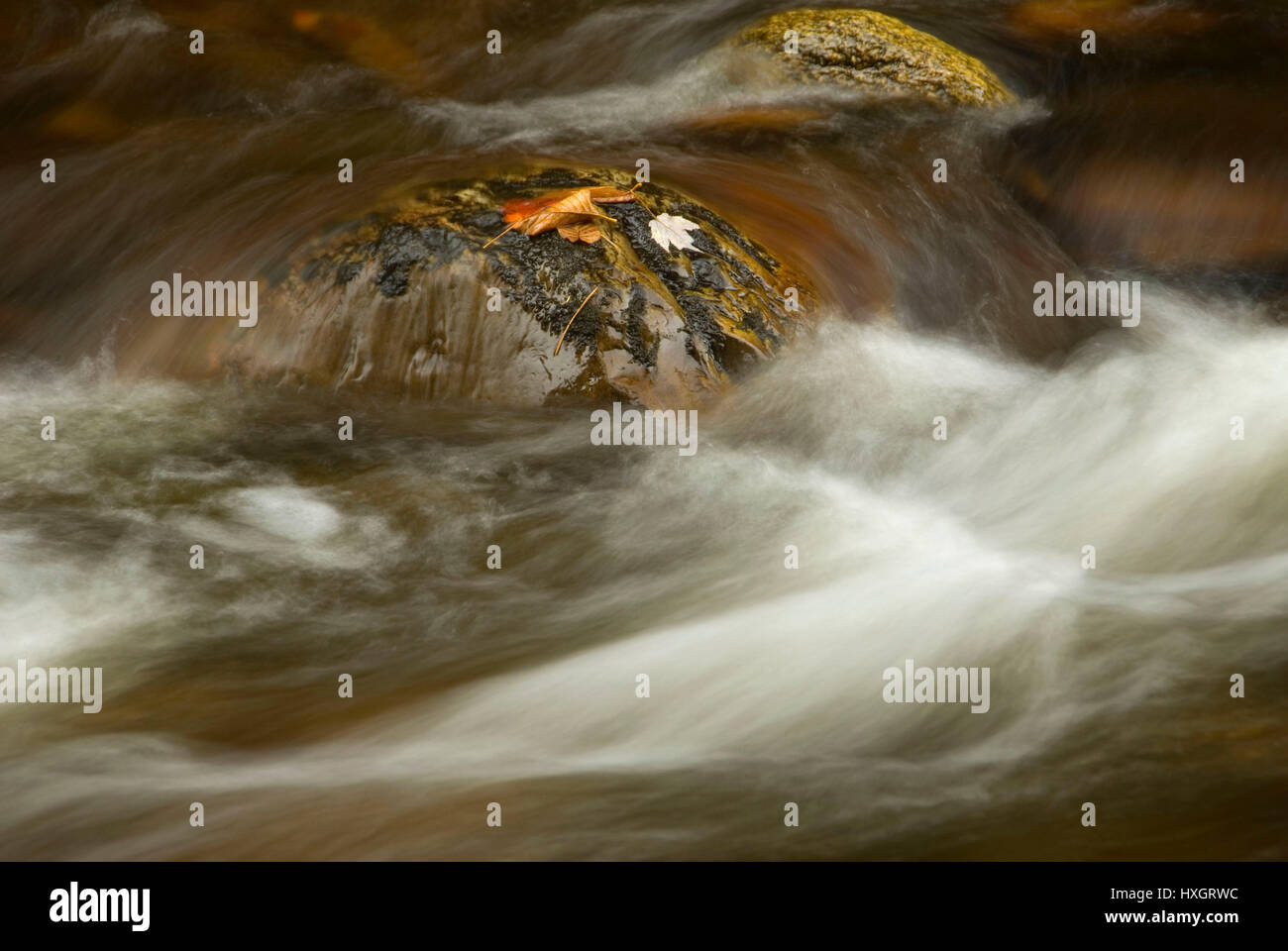 Middlebury River, Green Mountain National Forest, Vermont Stock Photo ...