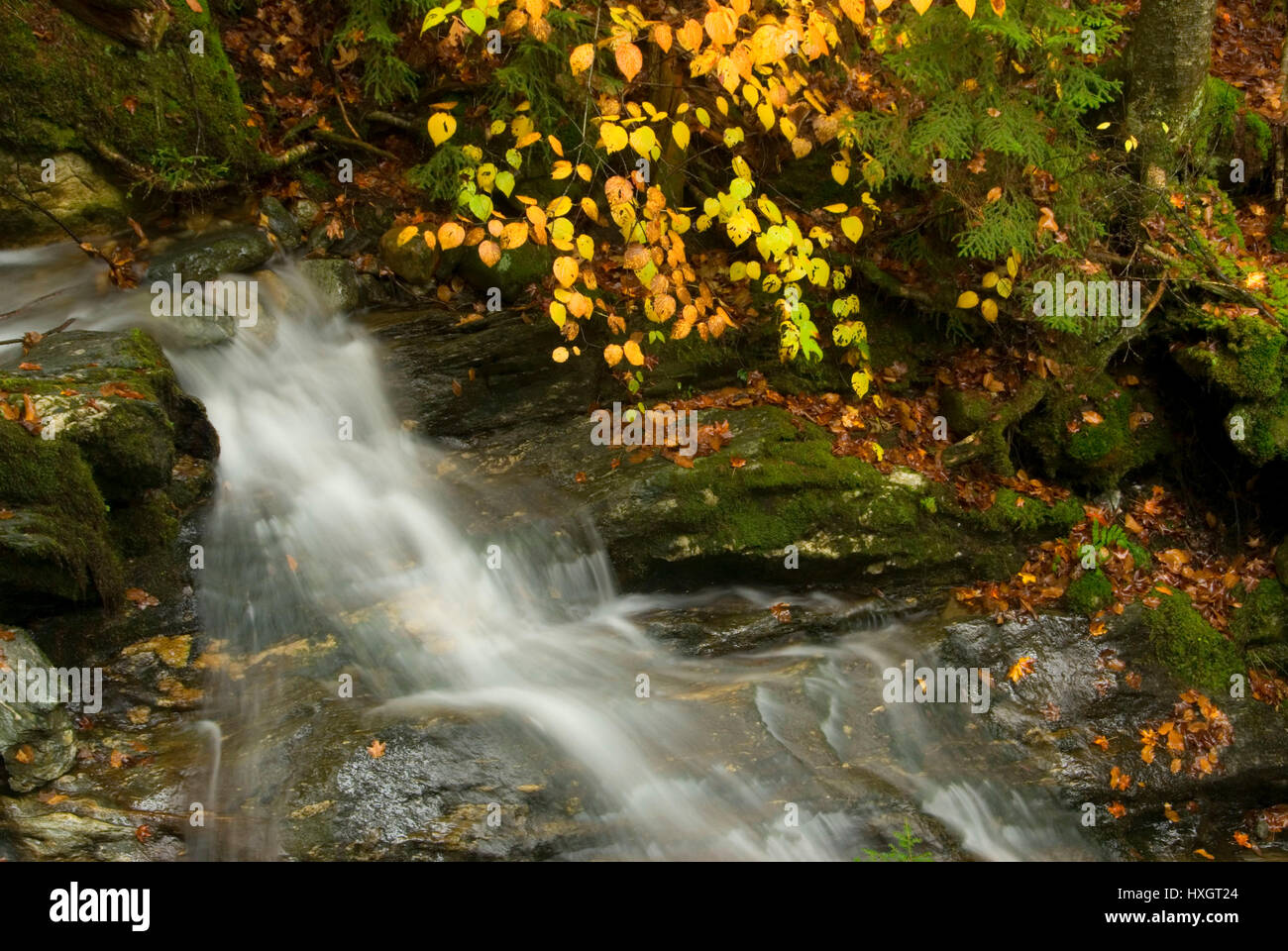 Side drainage cascade, Texas Falls Recreation Area, Green Mountain ...