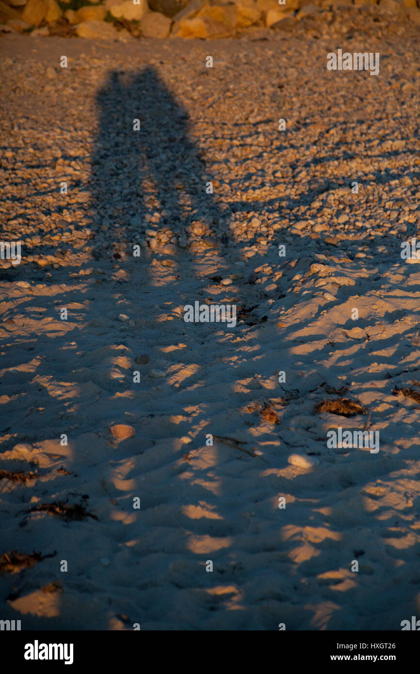 Shadow of a couple in the sand. Lovers on the beach Stock Photo - Alamy