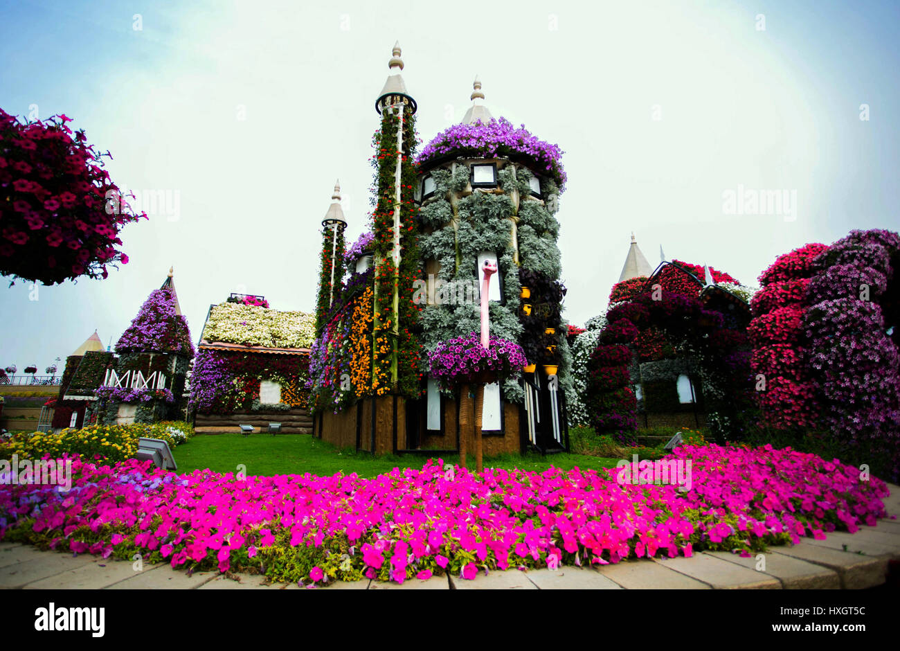 Flowers Miracle Garden in Dubai, United Arab Emirates Stock Photo - Alamy