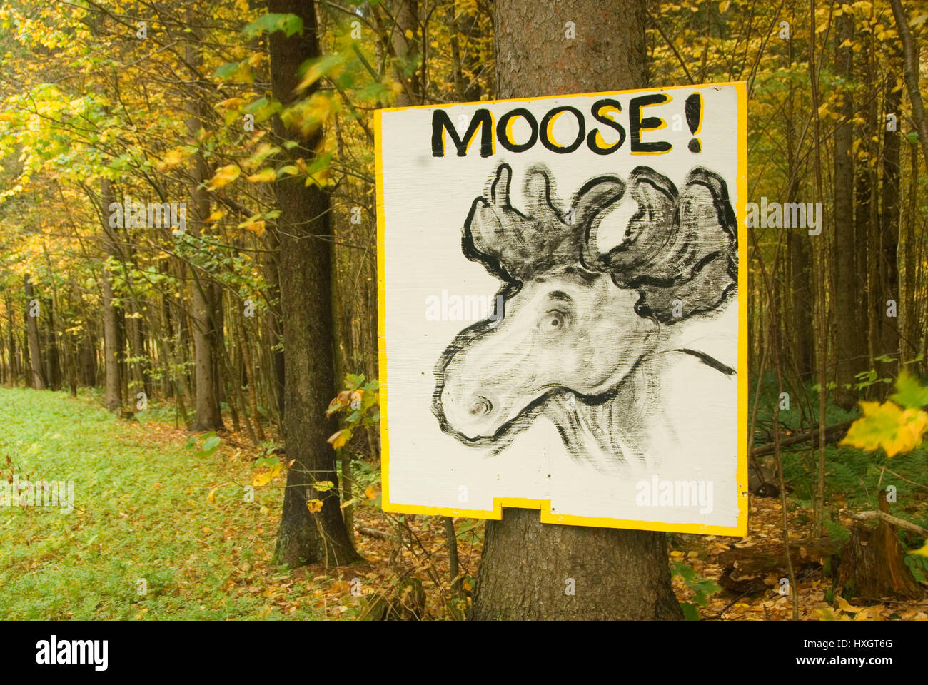 Moose warning sign, Green Mountain National Forest, Vermont Stock Photo ...