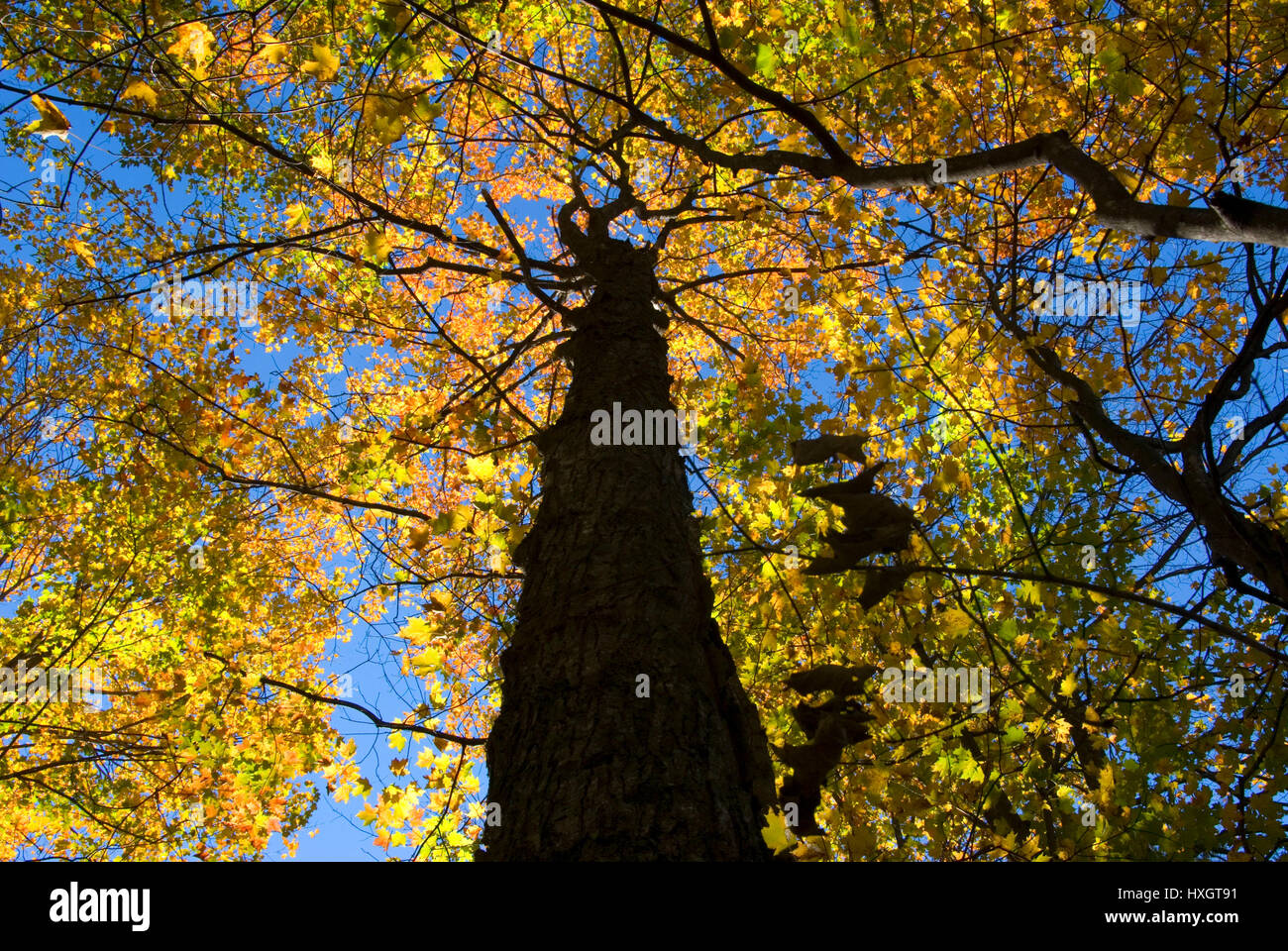 Joseph smith birthplace memorial hi-res stock photography and images ...