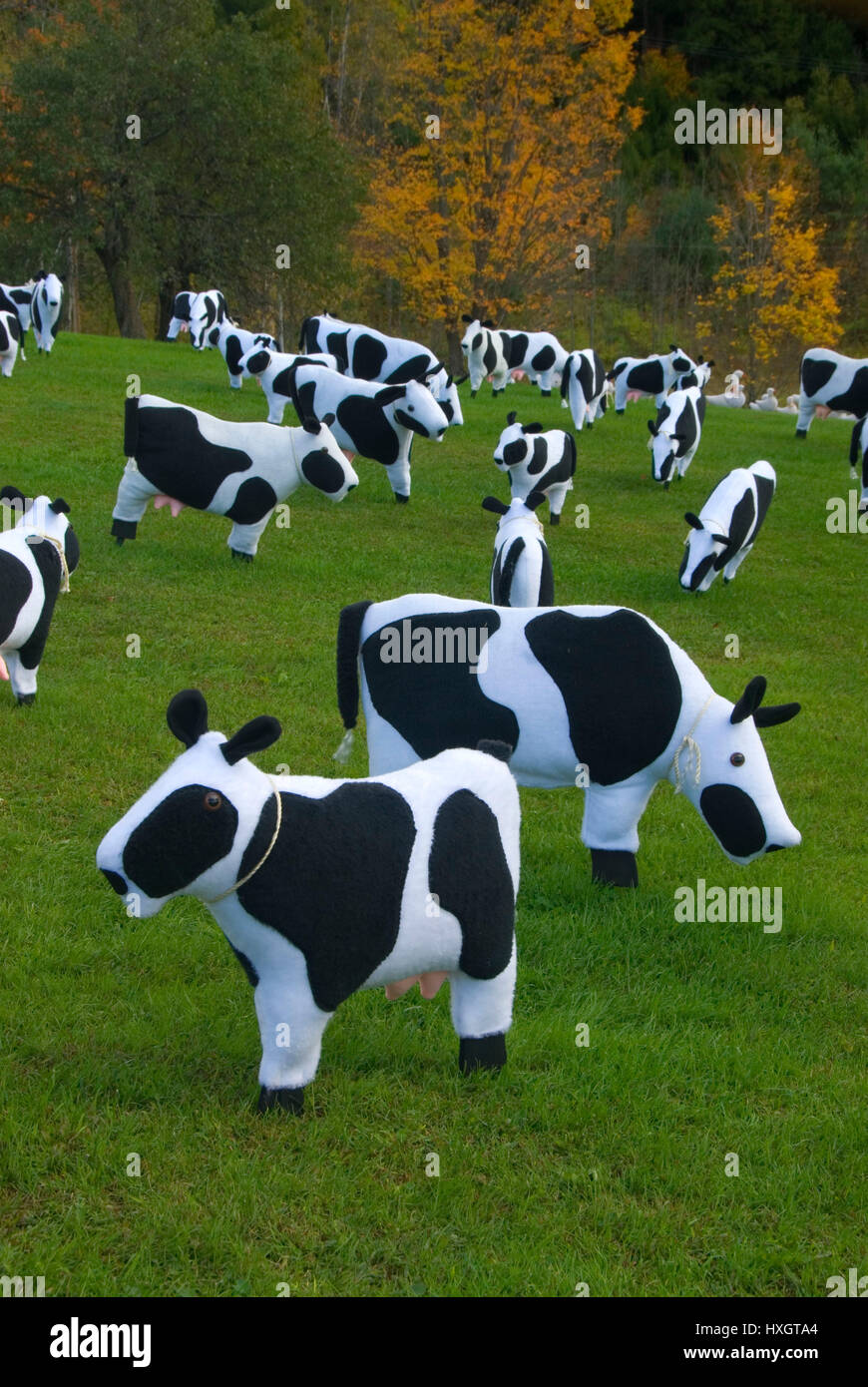 Stuffed cow herd, Fool on the Hill, Windsor County, Vermont Stock Photo ...