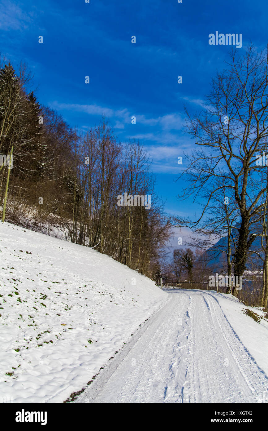 Snowy winter road Stock Photo - Alamy