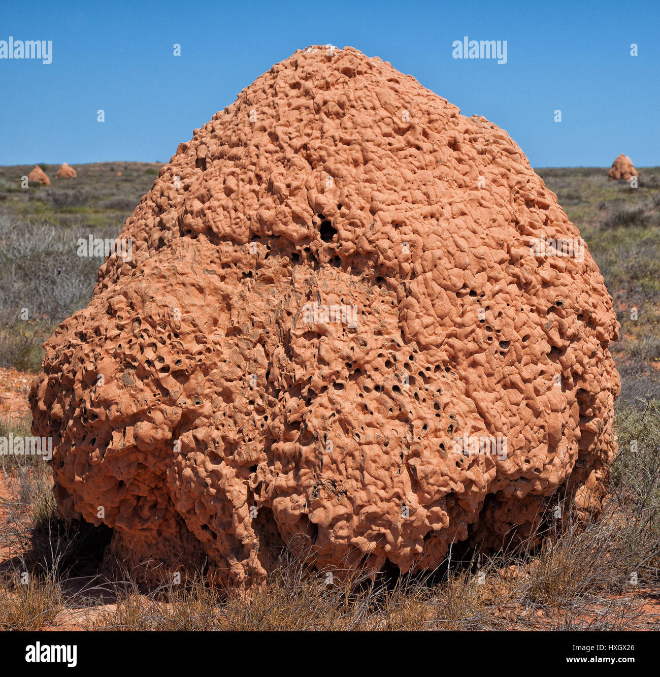 Termites mound hi-res stock photography and images - Alamy