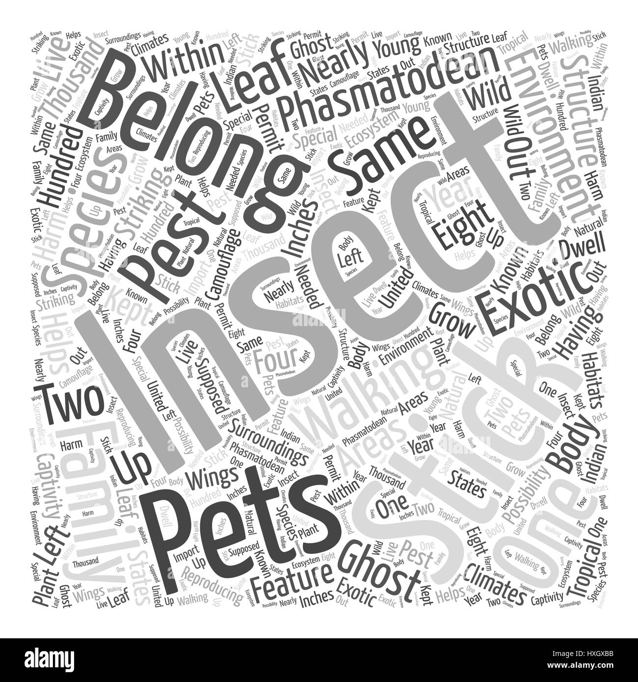 Thousand Leaf Stock Vector Images - Alamy