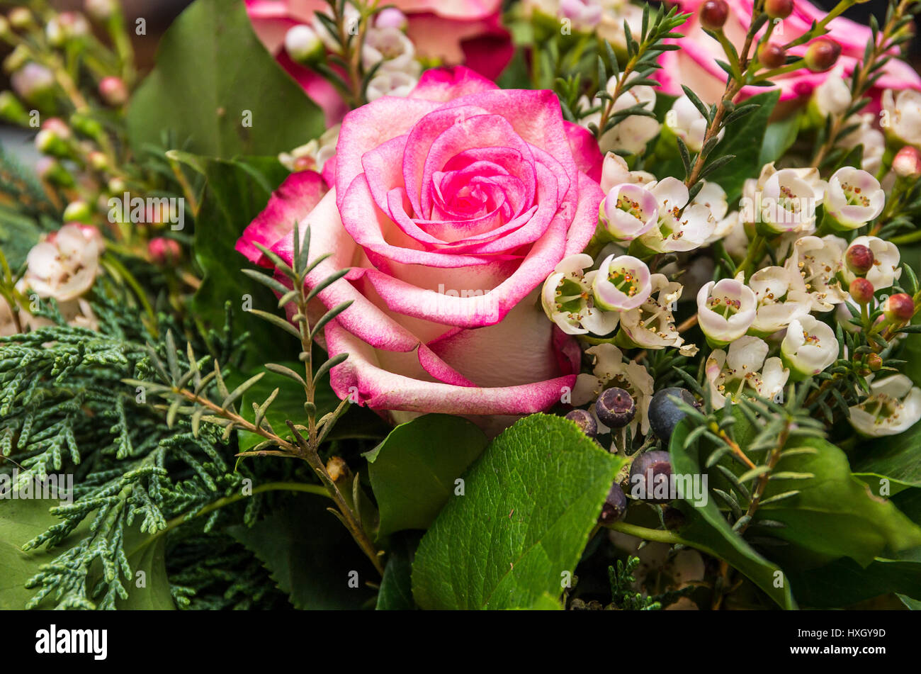 Cut flowers, bouquet of roses Stock Photo - Alamy