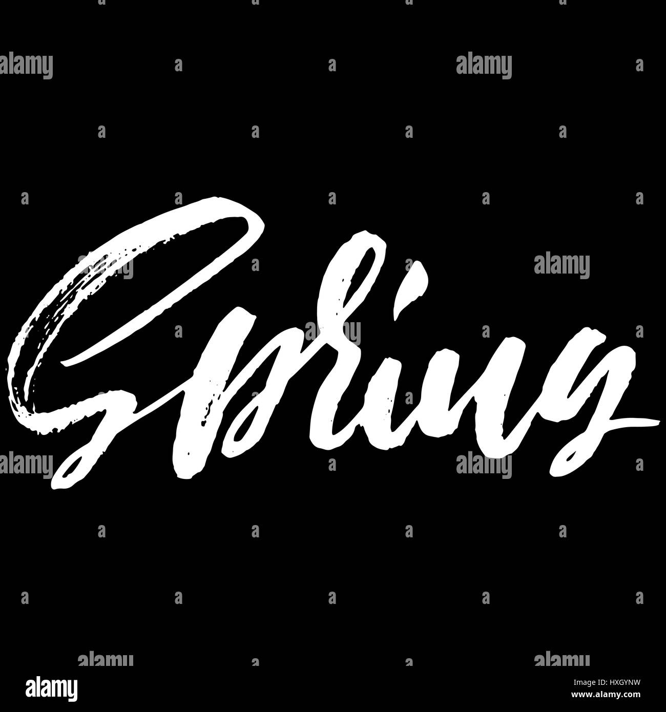 Handwritten lettering. Spring. Hand drawn calligraphy letters. Vector ...