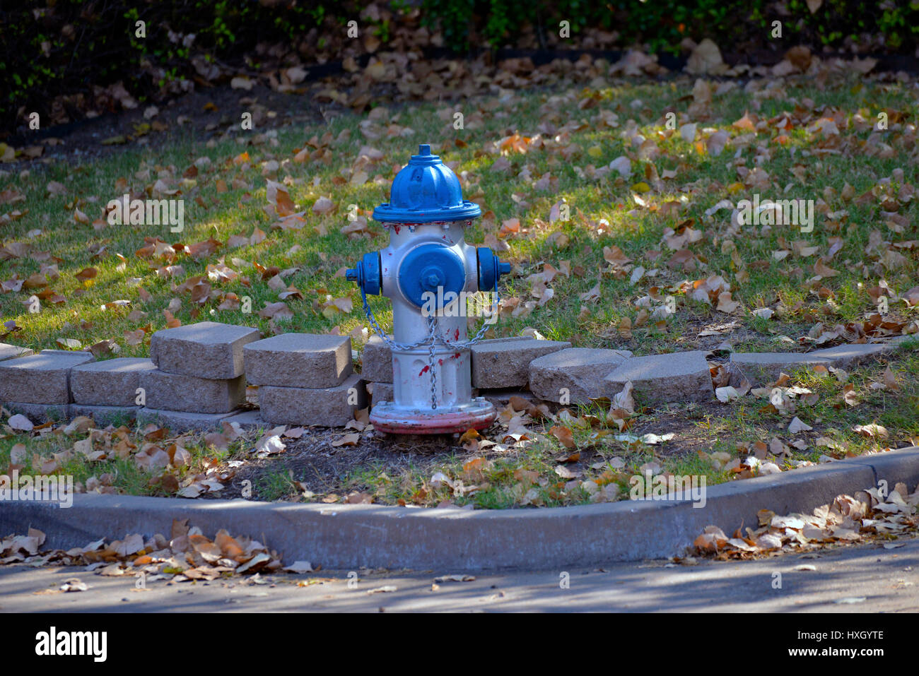 Fire fighting airplane hi-res stock photography and images - Alamy