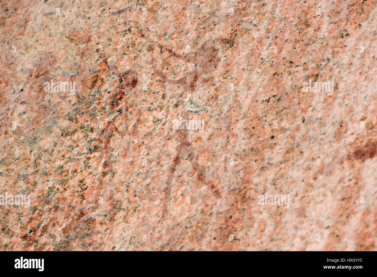 indigenous rock painting detail seen in Namibia, Africa Stock Photo - Alamy