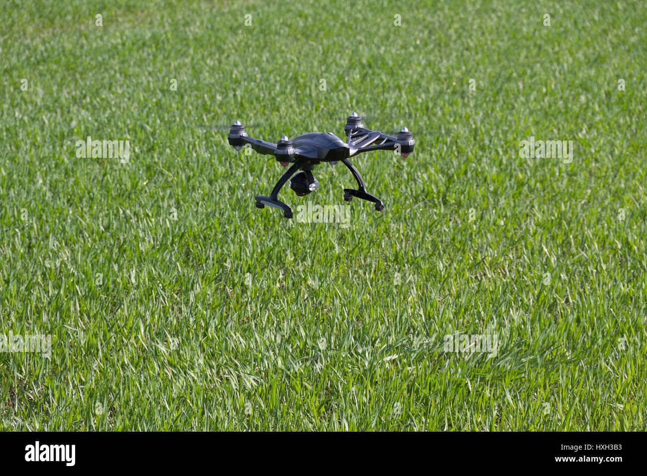 Drone flying above green field Stock Photo - Alamy