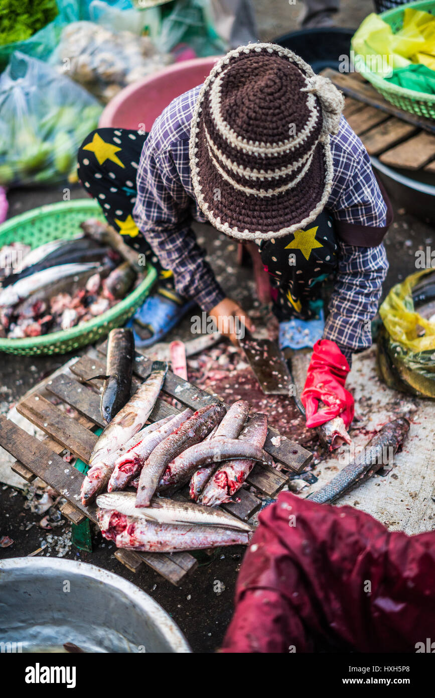 Psar Nat, The central market, Town of Battambang, Battambang Province ...