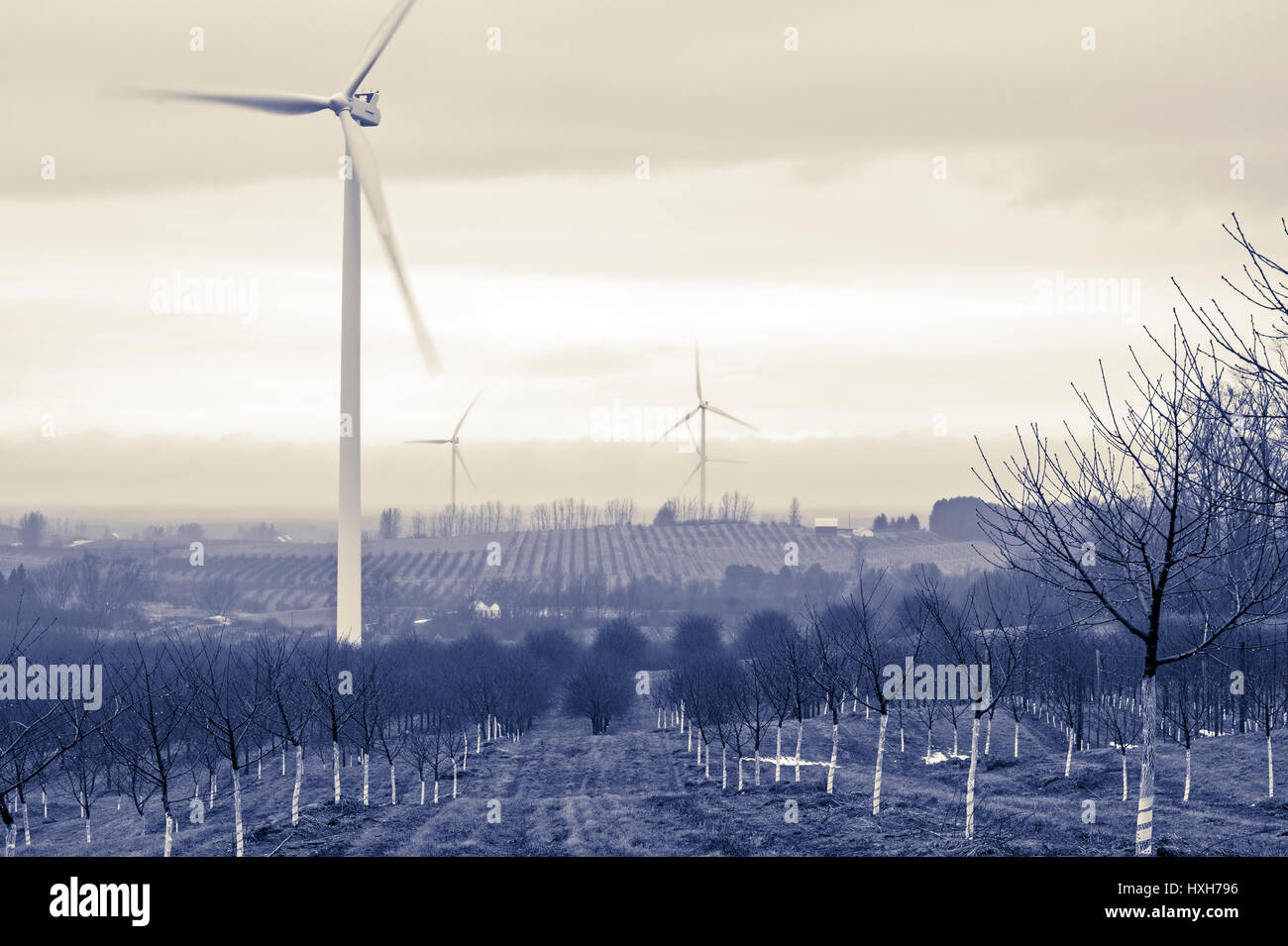Consumer's Energy Lake Winds(100 megawatt) wind turbines near Ludington ...