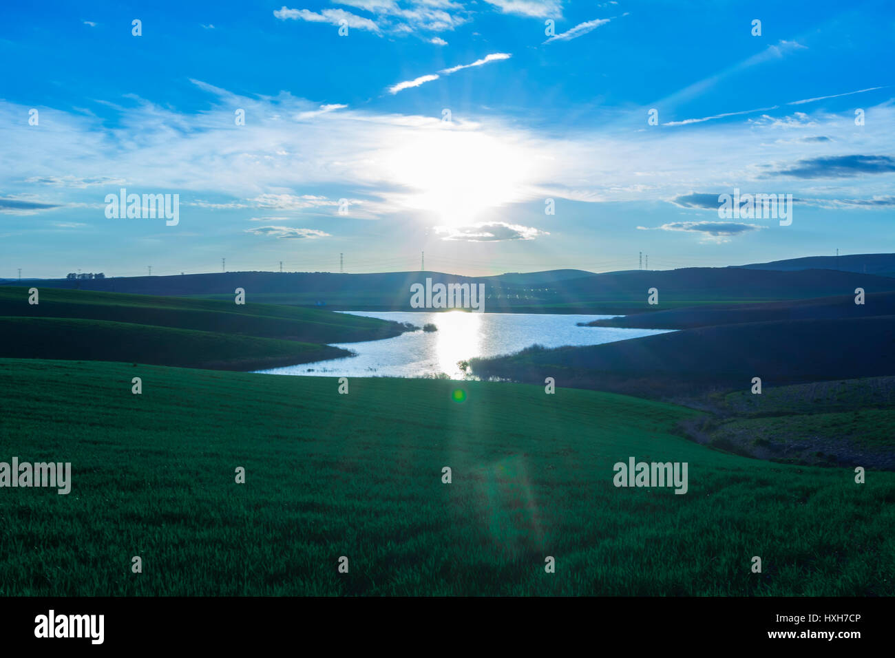 Lake landscape in green field, with sun reflection in the water Stock ...