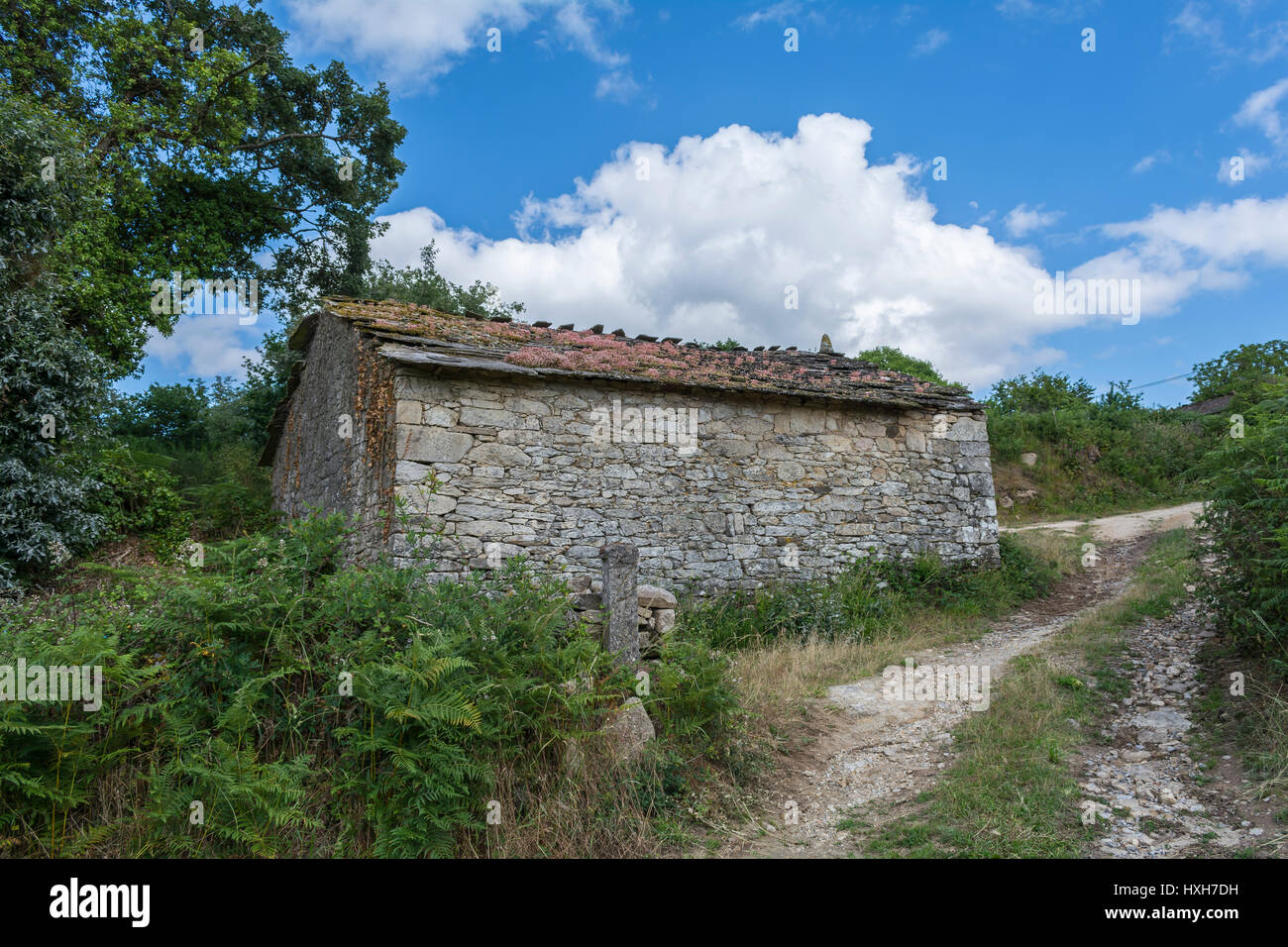 Rural landscape in Lugo, Galicia Stock Photo - Alamy