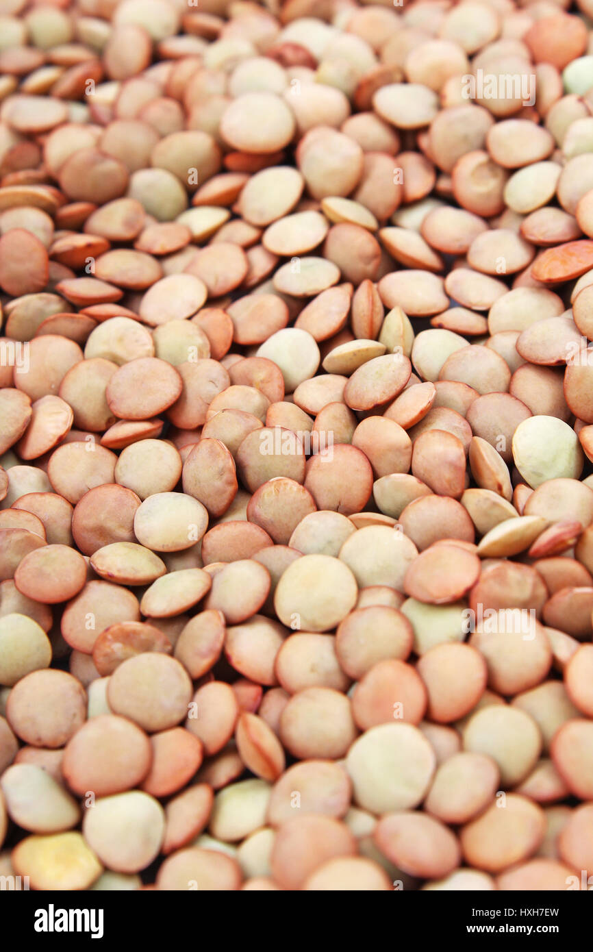 Eating lentil texture. Lentils pattern as background. Studio food photo ...