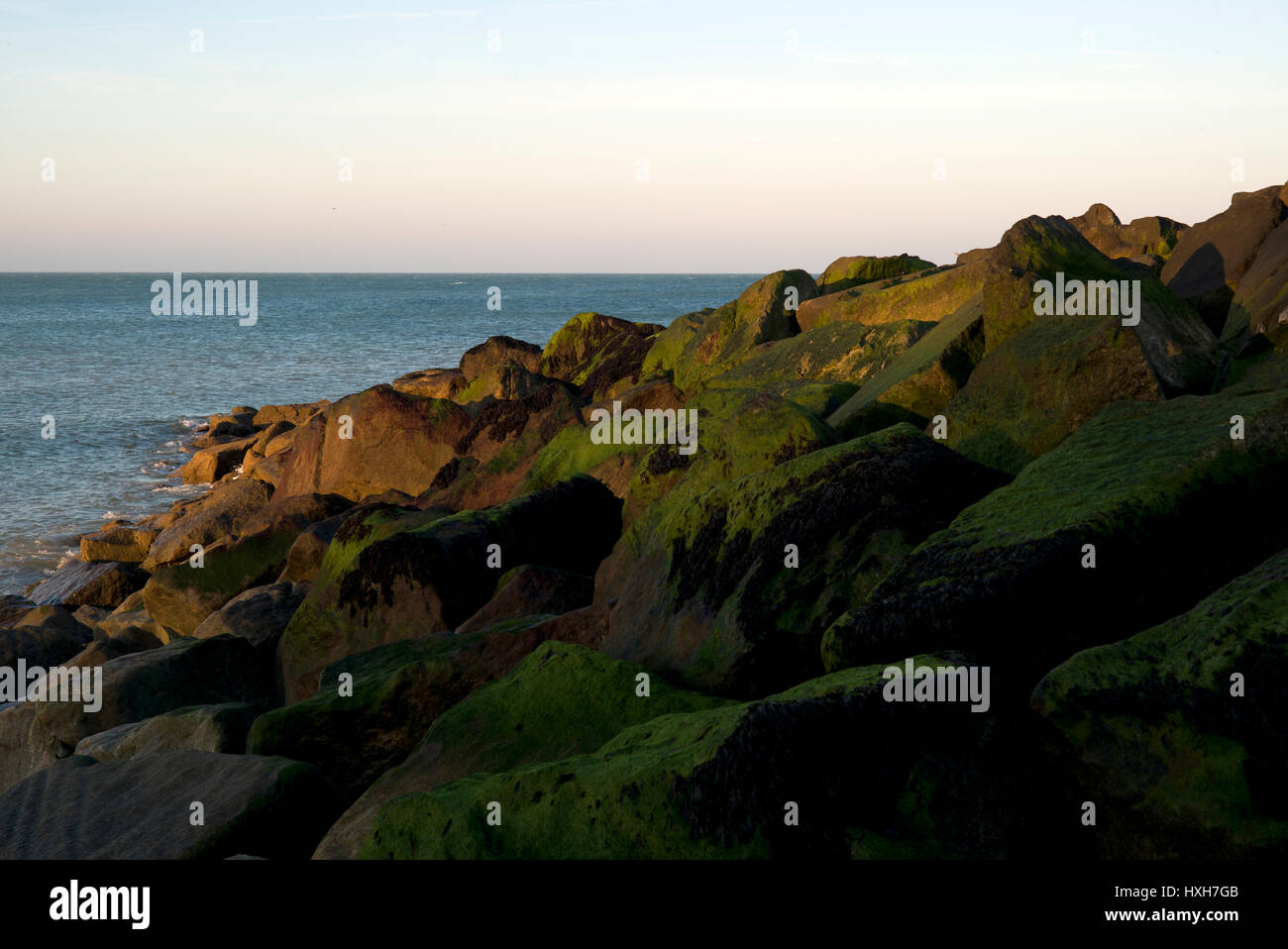 Rock groyne at sunrise Stock Photo - Alamy