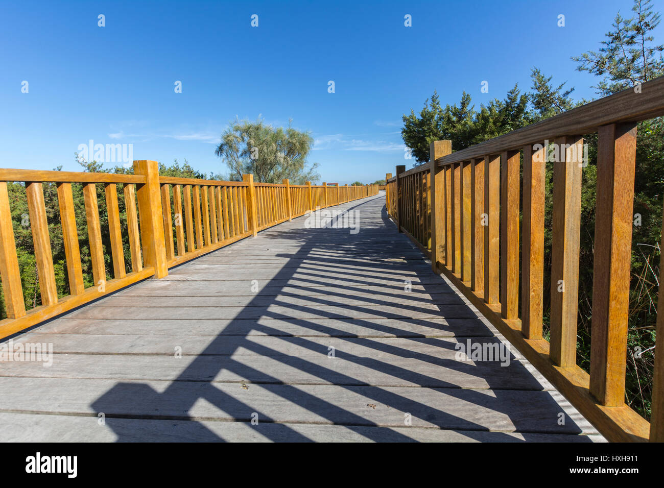 Wooden path in natural surroundings, protecting the environment Stock ...